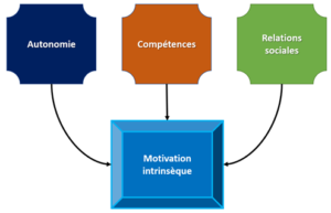 La motivation intrinsèque - Société Française de Préparation Mentale