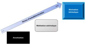 La motivation intrinsèque - Société Française de Préparation Mentale