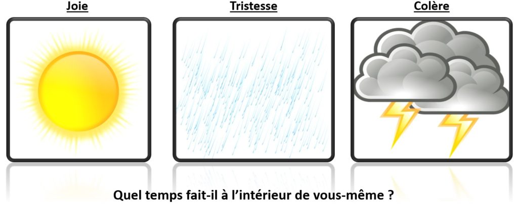 La Gestion des Emotions - Société Française de Préparation Mentale