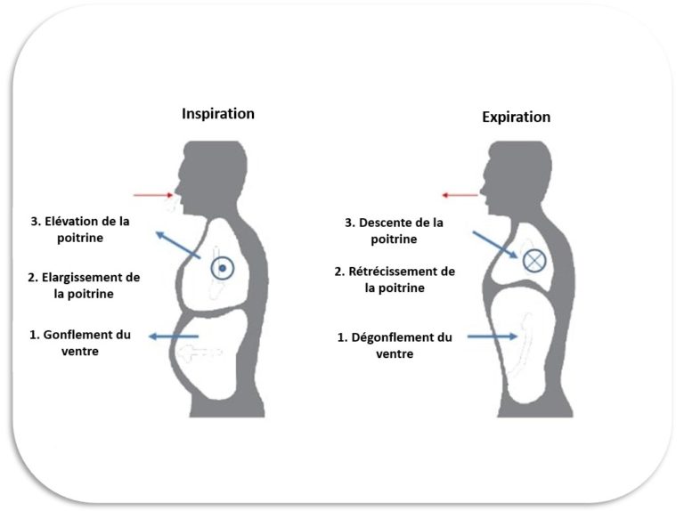 La Respiration - Société Française de Préparation Mentale